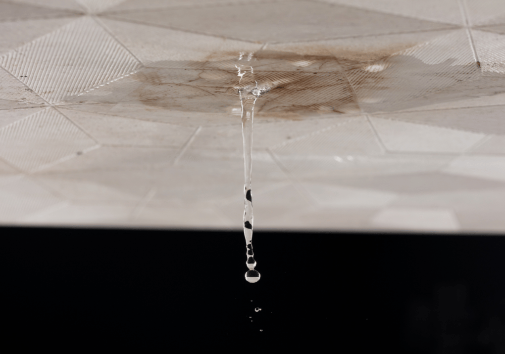 The Dangers of Ignoring a Water Leak (And How to Fix It) | Integrity ...